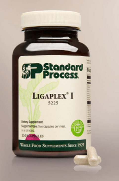 Musculoskeletal Injury Recovery - Dr. Janelle Bard, Chiropractor and ...