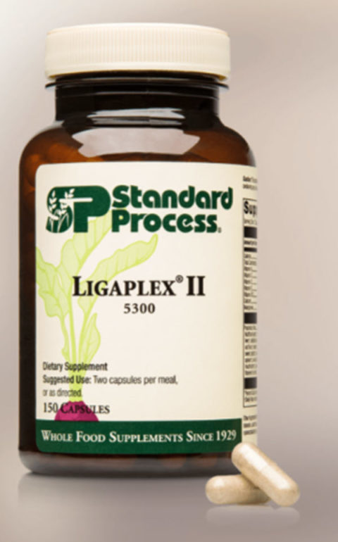 Musculoskeletal Injury Recovery - Dr. Janelle Bard, Chiropractor and ...